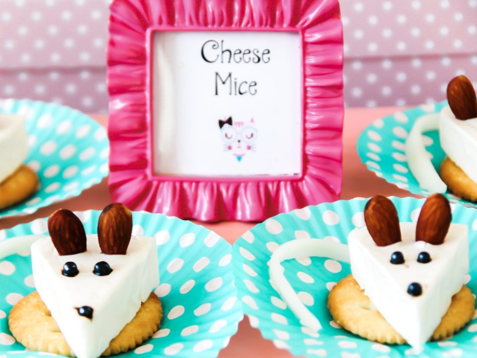 Kitty Theme Party Adorable Inspiration Check Meowt Bluegraygal