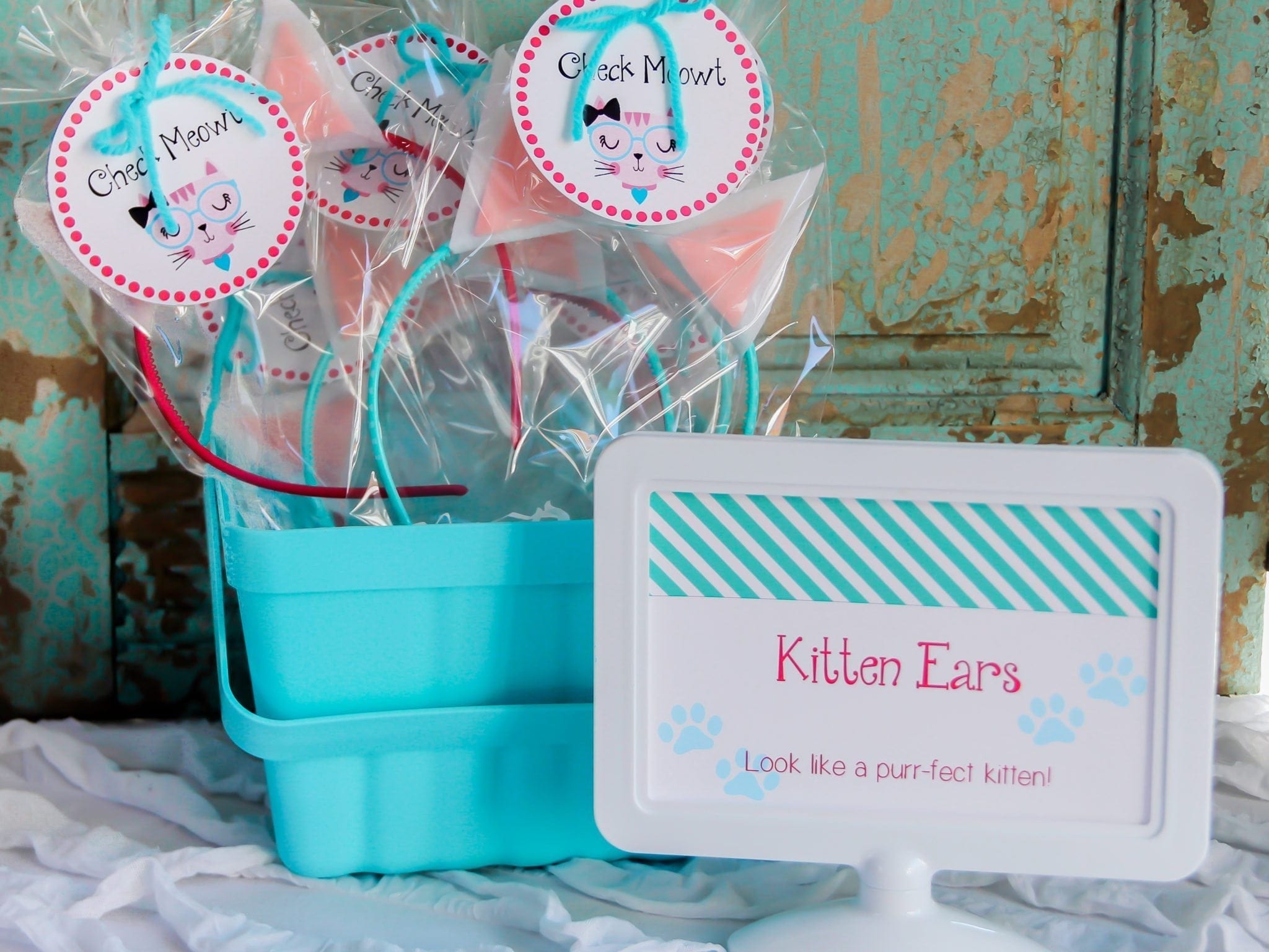 Kitty Theme Party Adorable Inspiration - Check Meowt! | bluegraygal