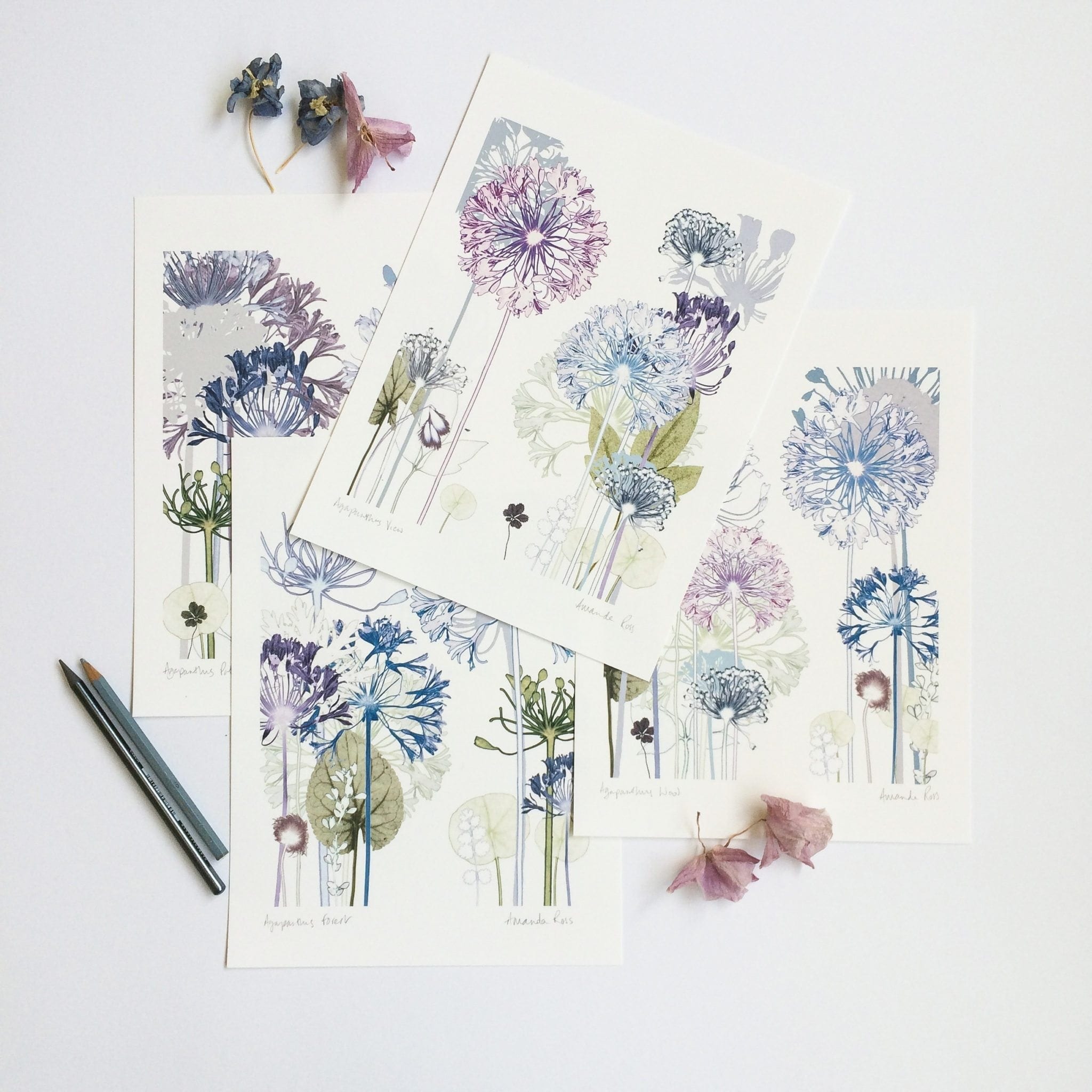 Exclusive Giveaway of Amanda Ross Botanical Artwork! | bluegraygal